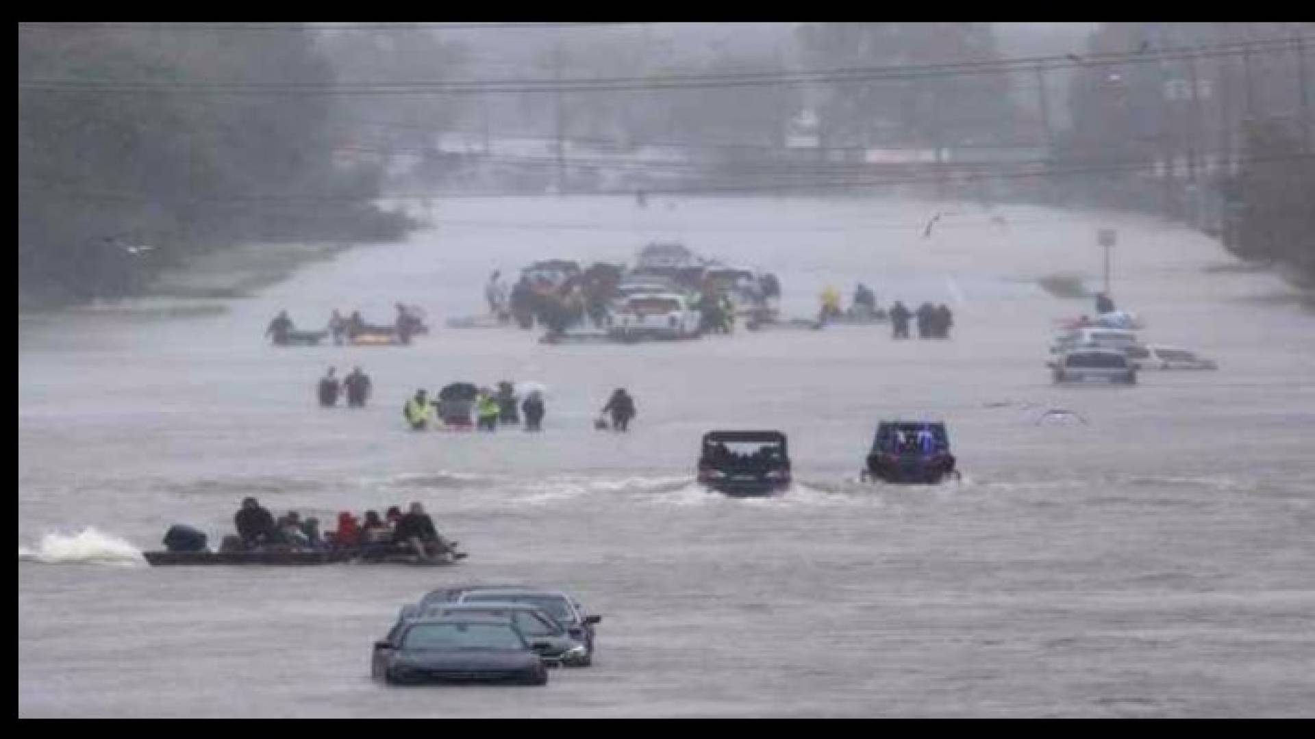 Roya News | US thanks president Abbas for offering to help Harvey victims