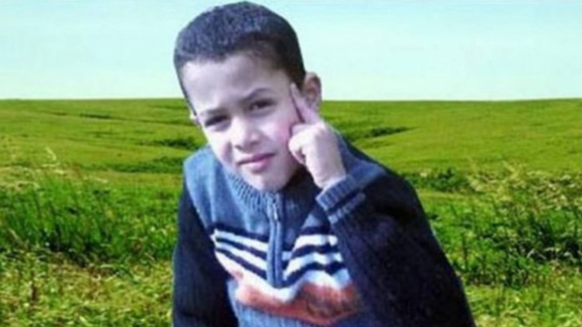 Roya News | Foreign Ministry launches investigation into disappearance ...