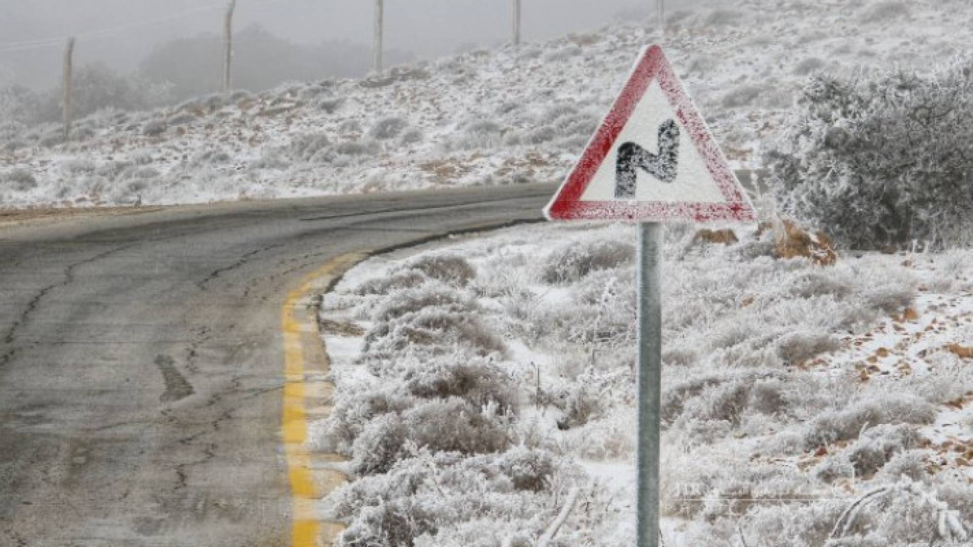 Roya News | Jordan expects snow in areas 1,000 meters above sea level ...