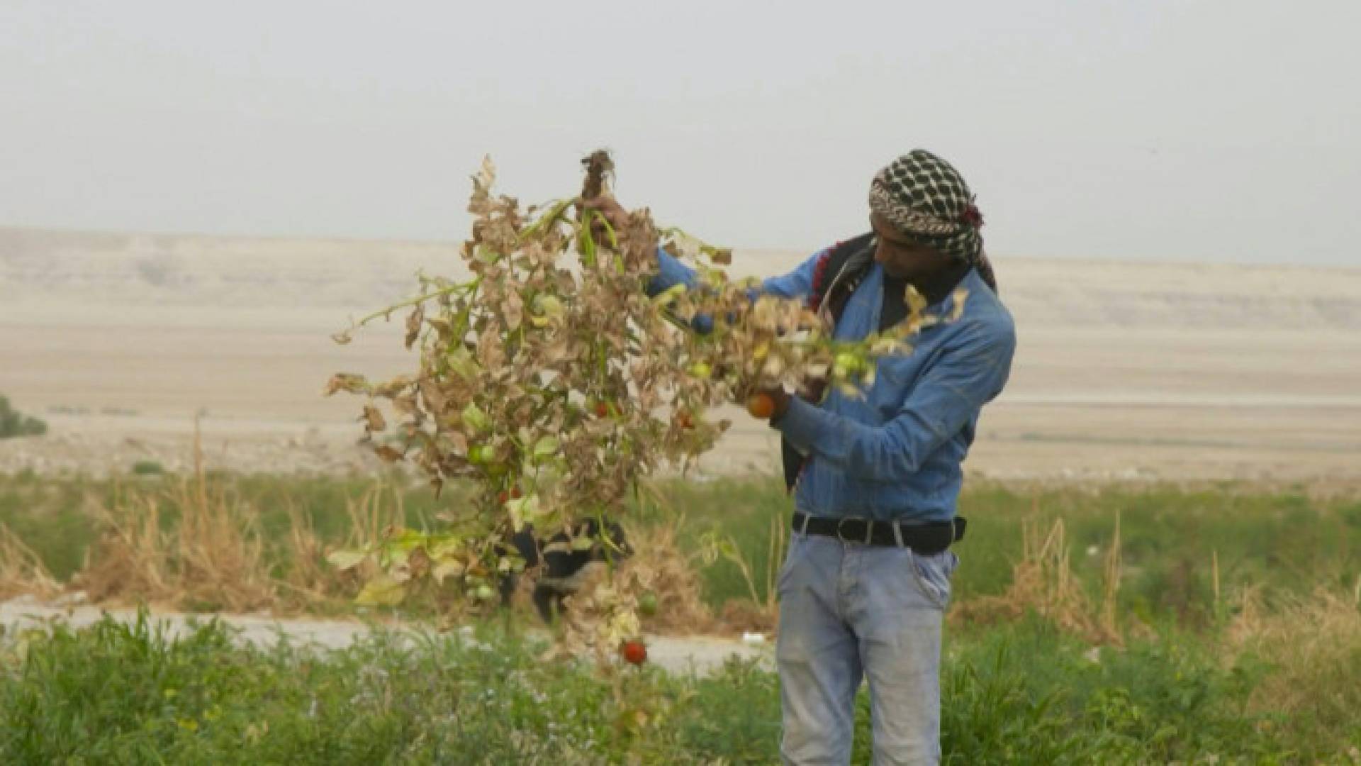 Roya News | 'Critical' situation in Jordan amid severe drought