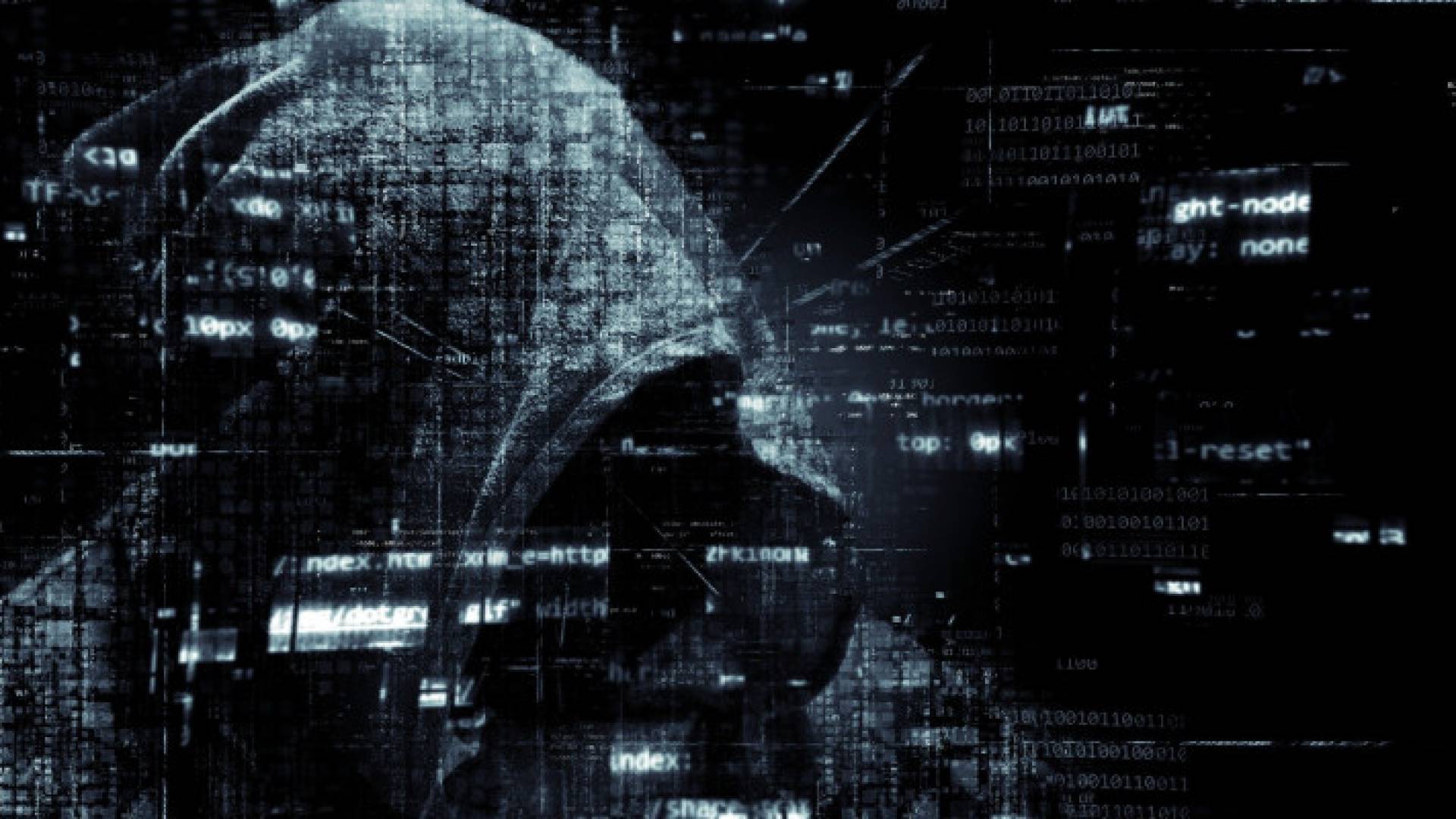 Roya News | Cybercrime Unit issues important security guidelines