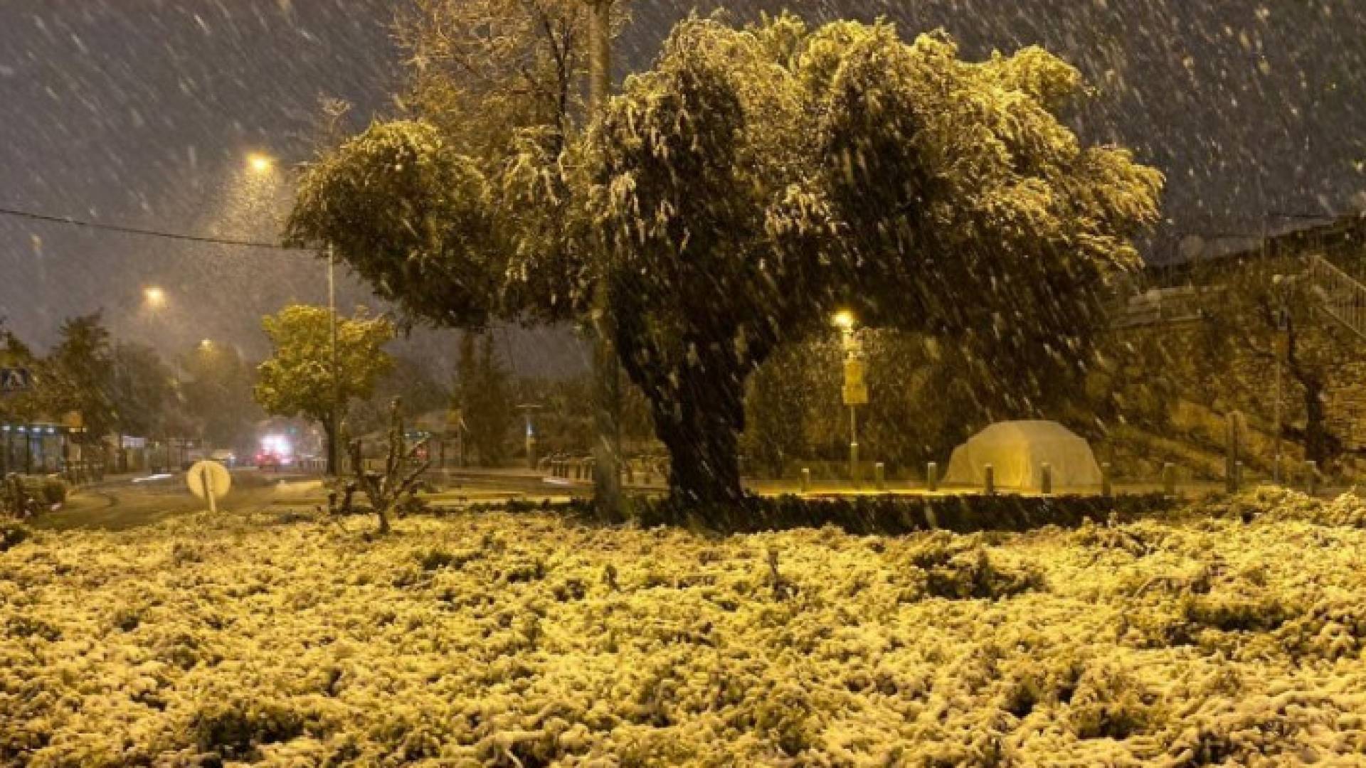 Roya News | IMAGES: Snow in Palestine