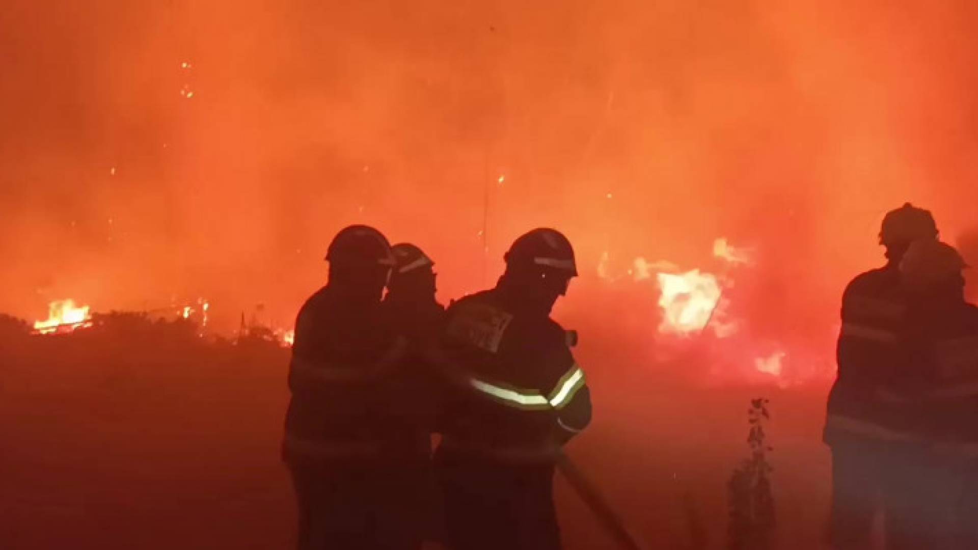 Roya News | Evacuations as forest fires spread through eastern Germany