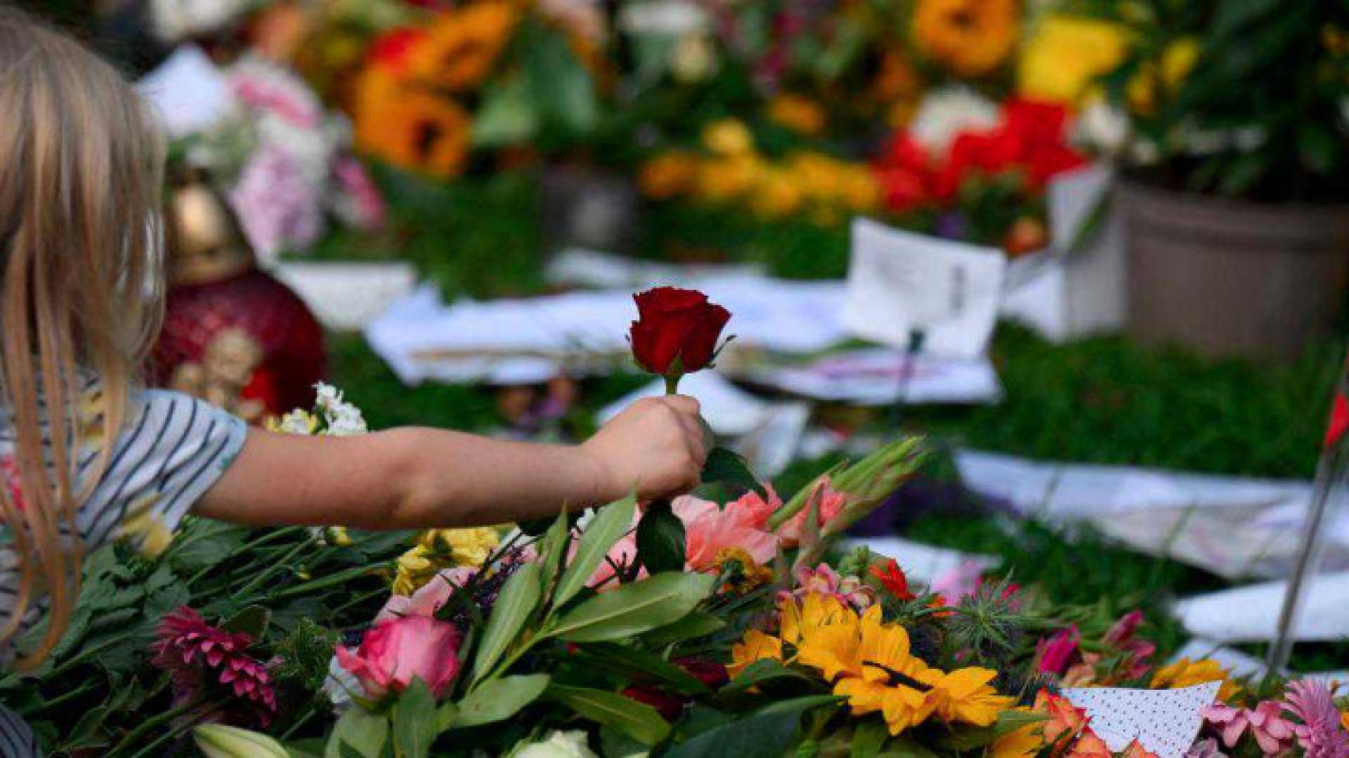 Roya News | Britons get first chance to view Queen Elizabeth II's coffin