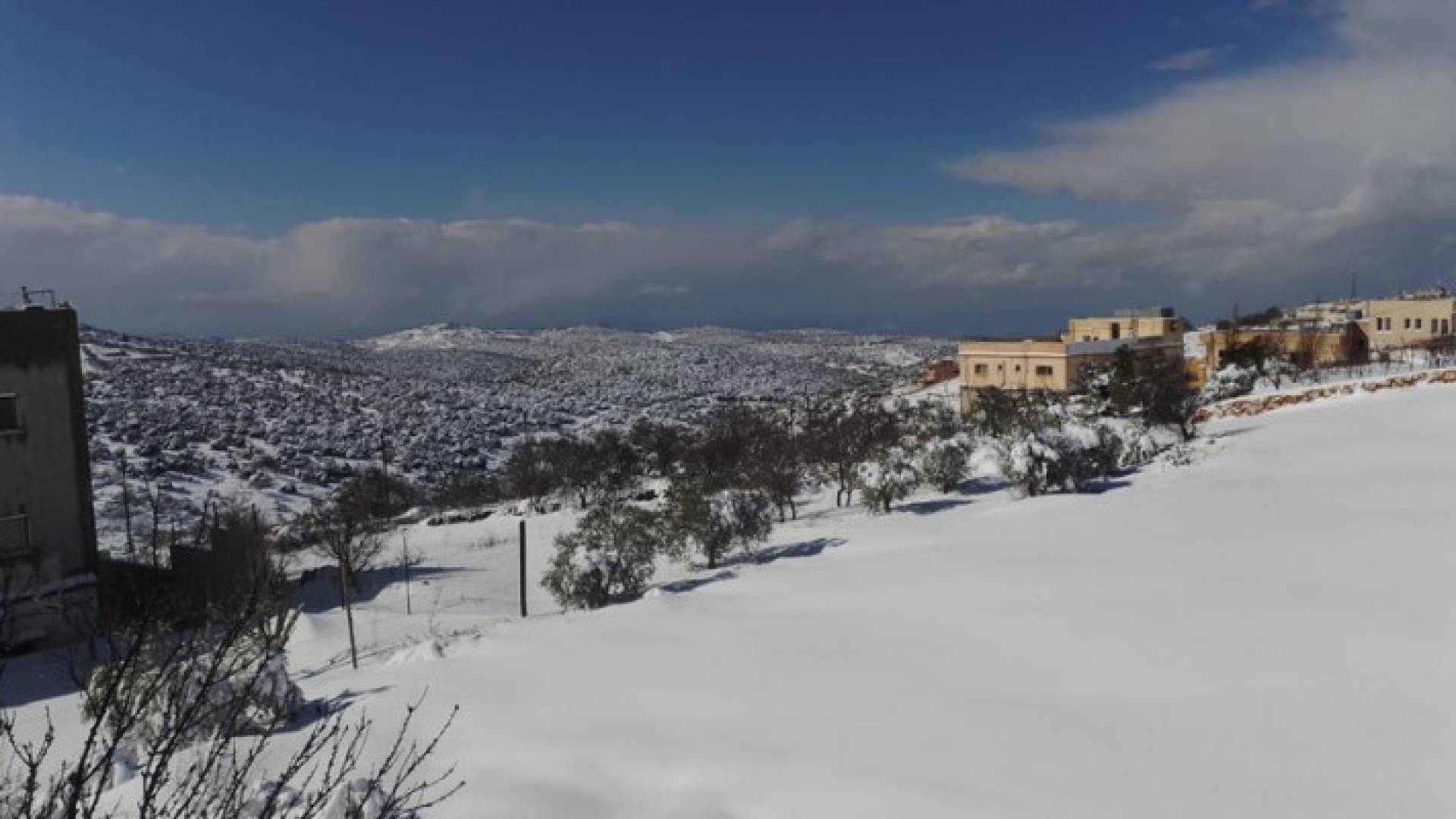 Roya News | Will it snow in Jordan anytime soon? Arabia Weather answers