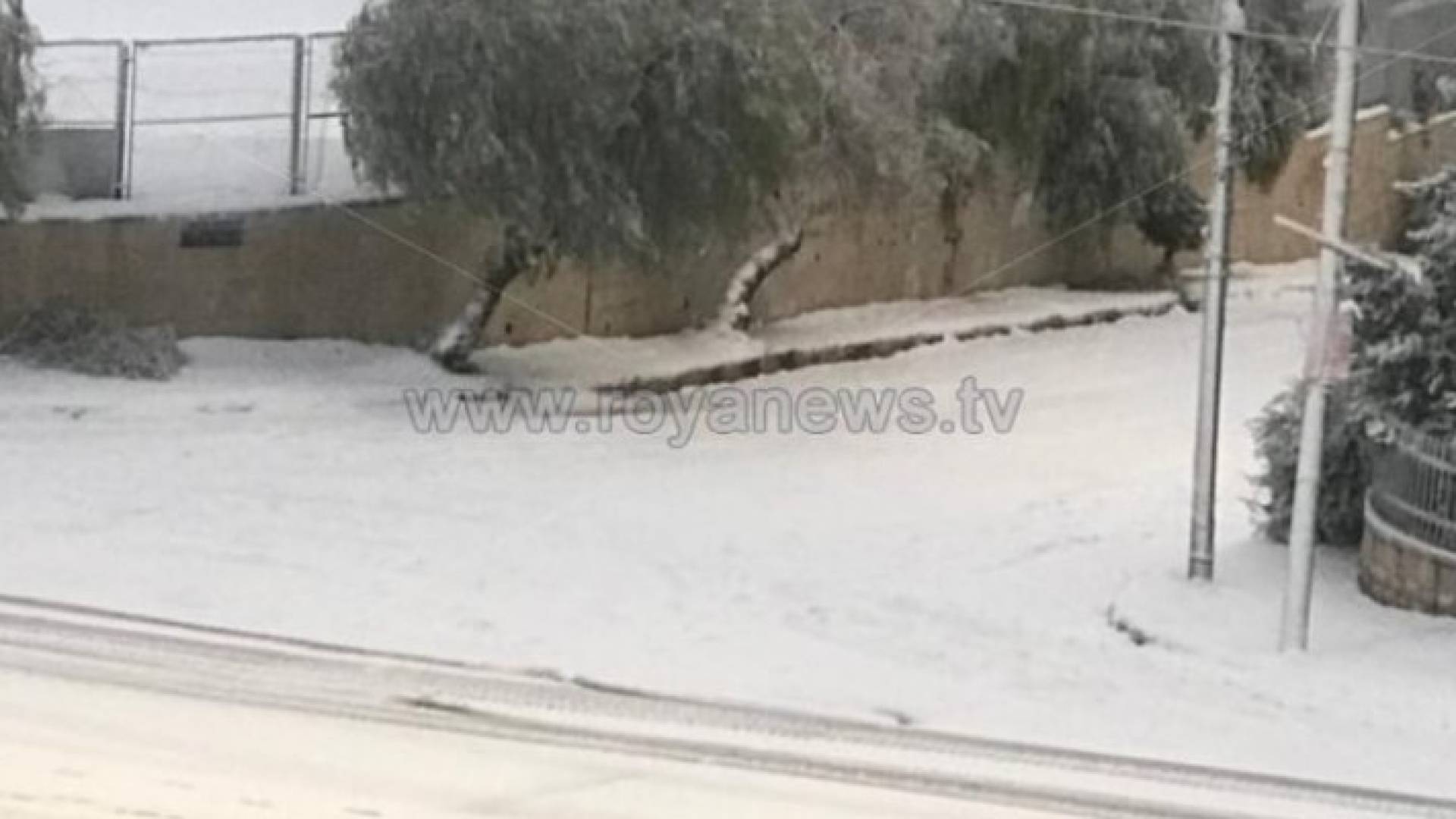 Roya News | Secondary roads closed off by snow in Amman
