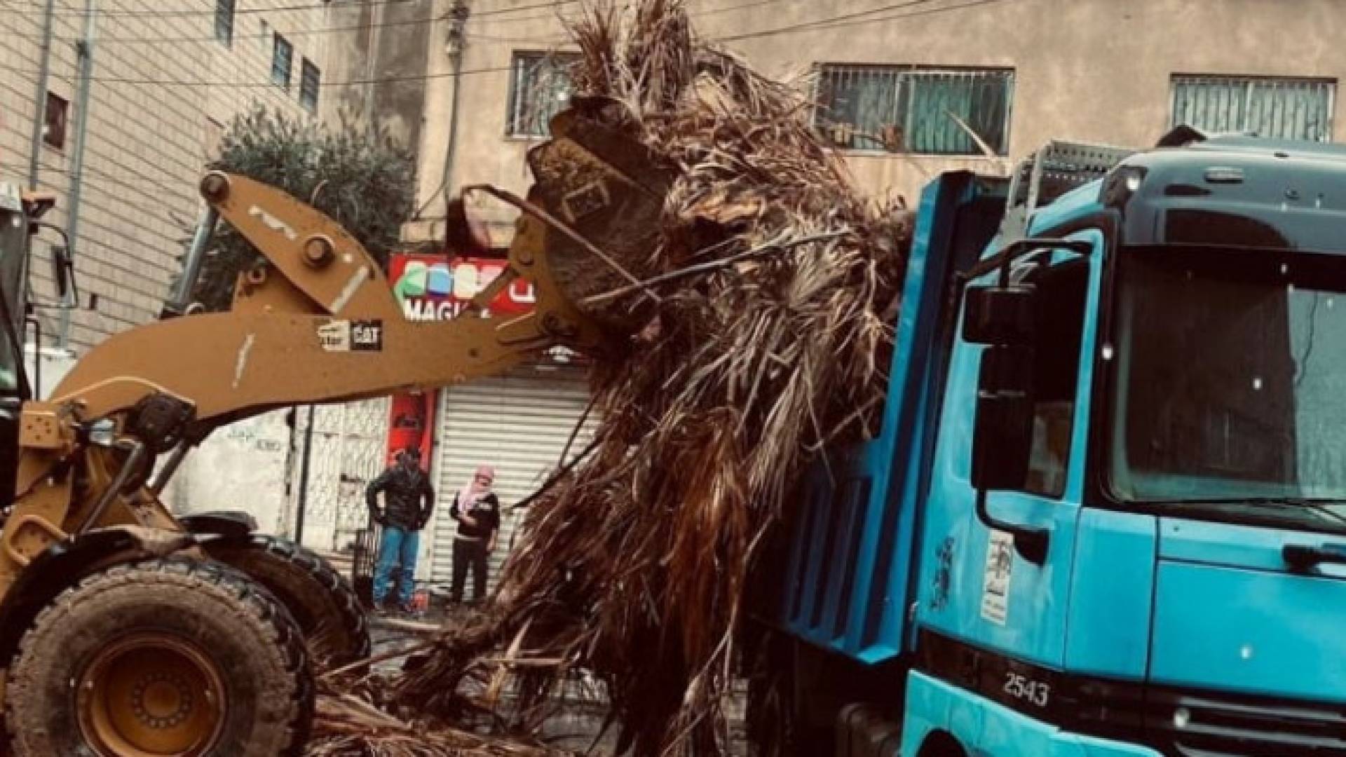 Roya News | Amman Municipality responds to 800 calls during current ...