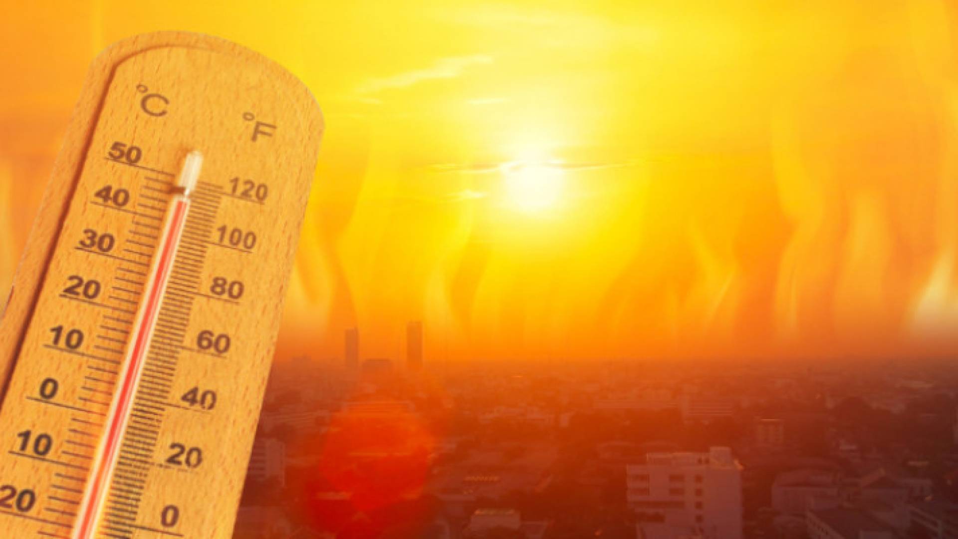 Roya News | Amman hits unprecedented 43.7°C record temperature