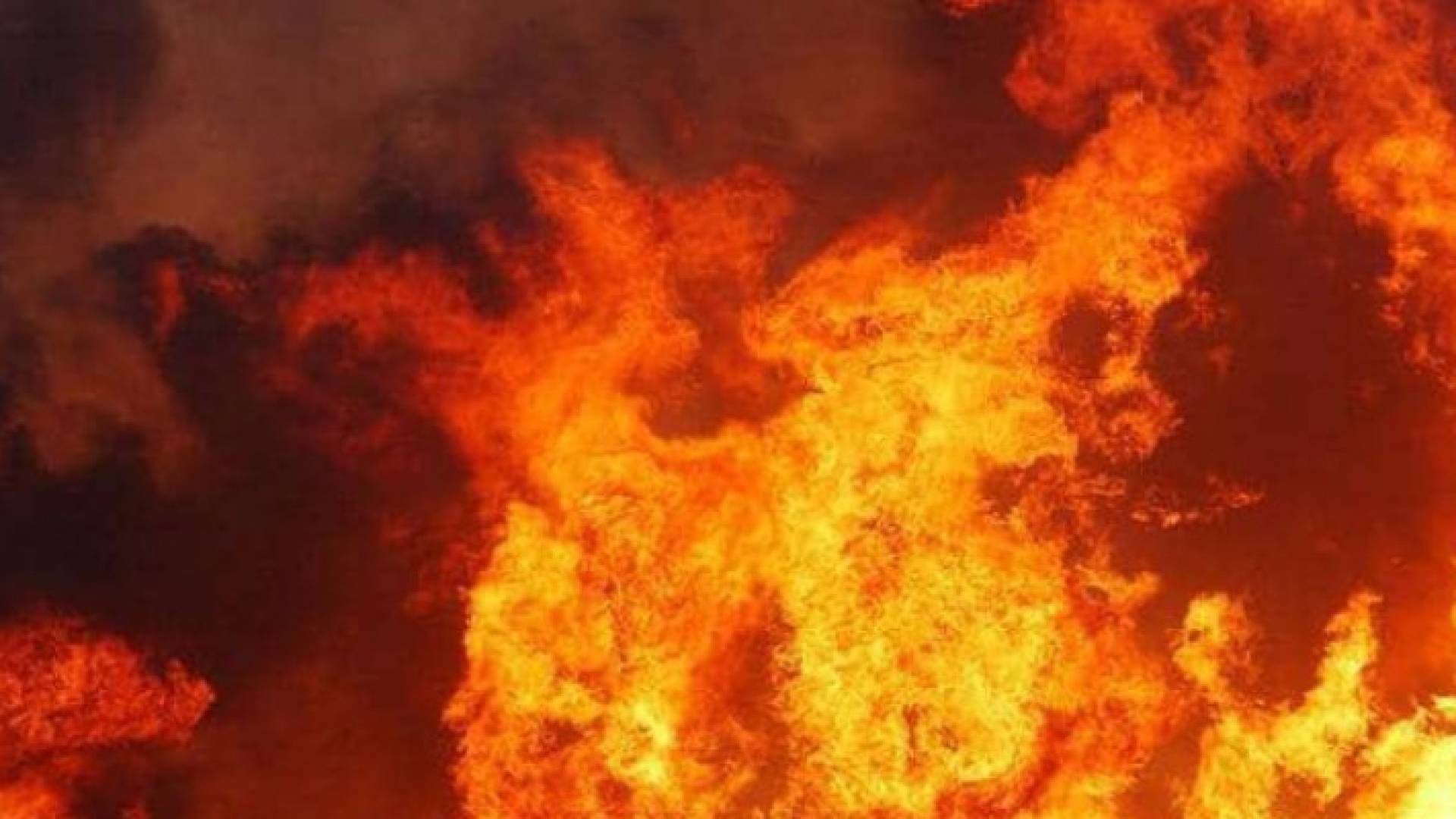 Roya News | Fire breaks out at Ma'an factory