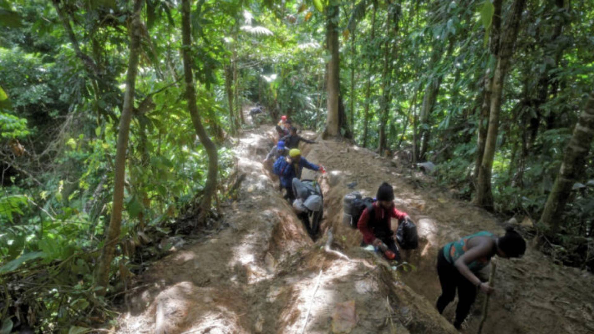 Roya News | Migrants crossing perilous Darien Gap in record numbers: Panama