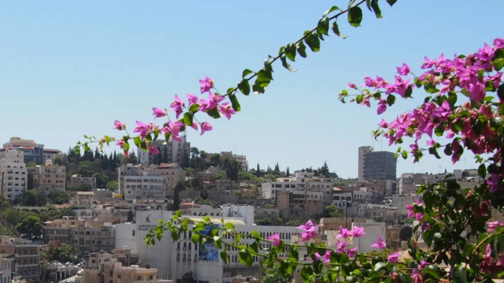 Roya News | Temperatures stabilize in Amman Sunday