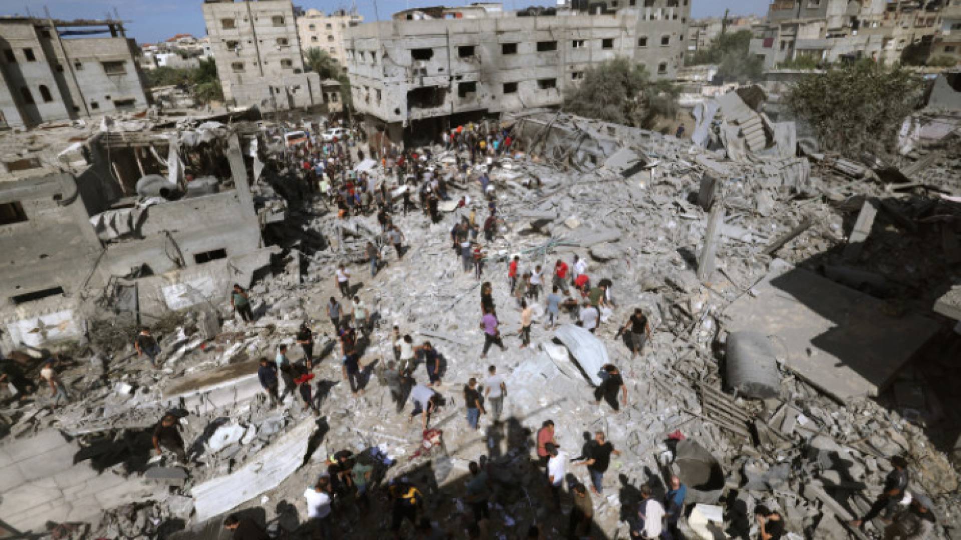 Roya News | 450 new births recorded daily in Gaza: World Health ...