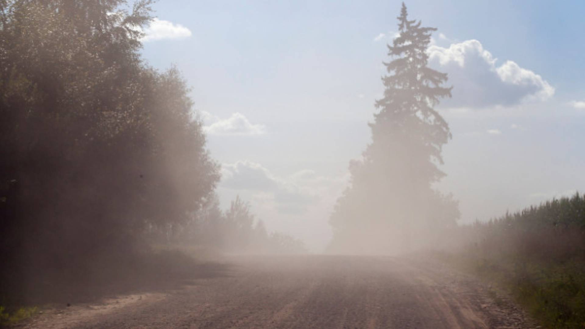 Roya News | Cold weather, easterly winds to stir up dust Monday