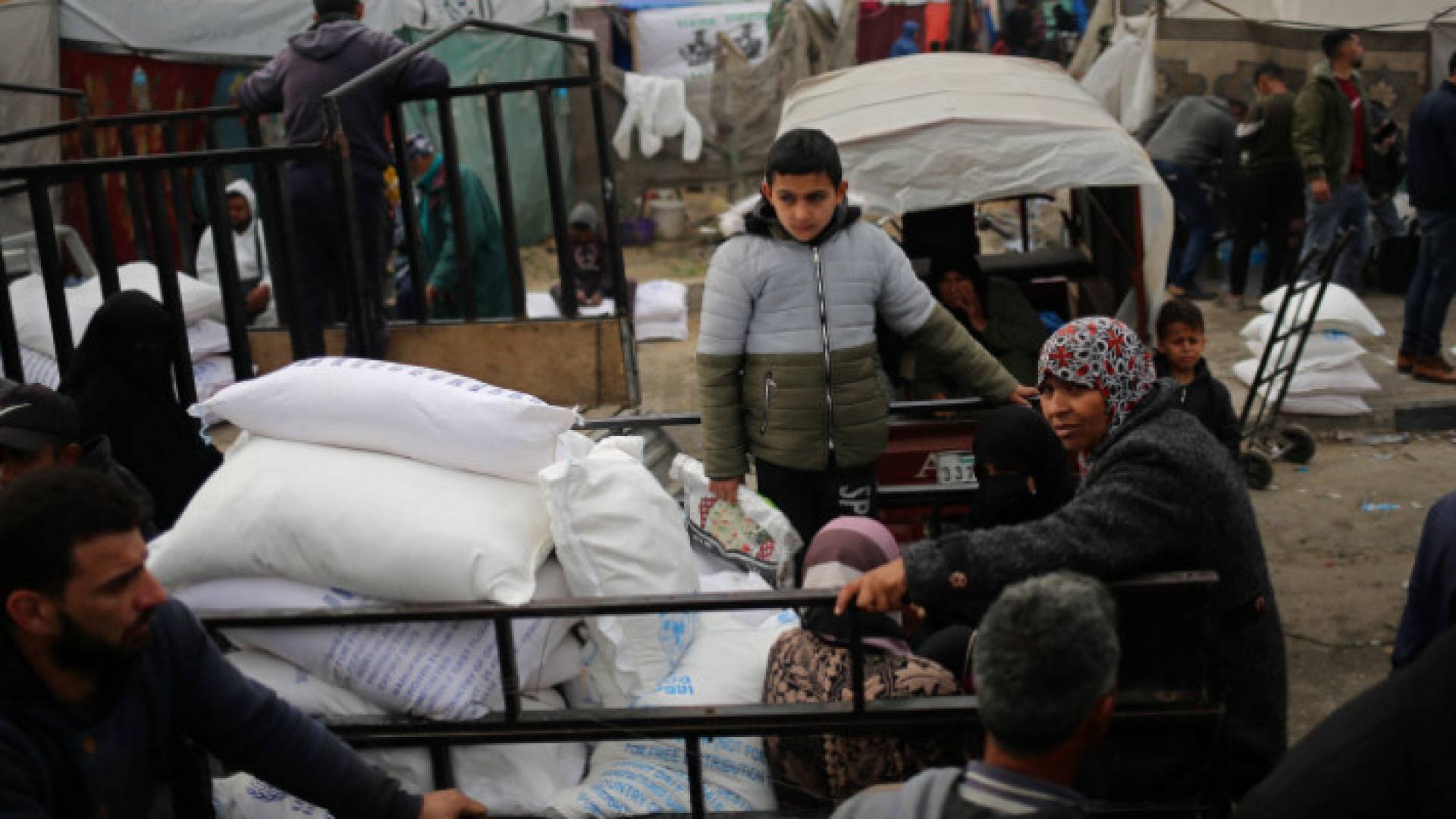 Roya News | Situation in Gaza “simply intolerable,” says US State ...