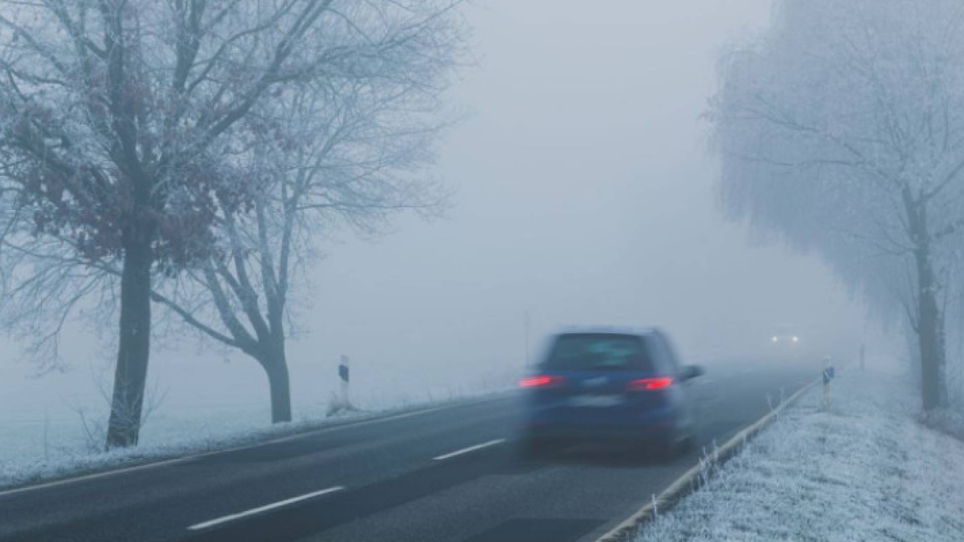 Roya News | Rain, cold weather expected to persist in Jordan