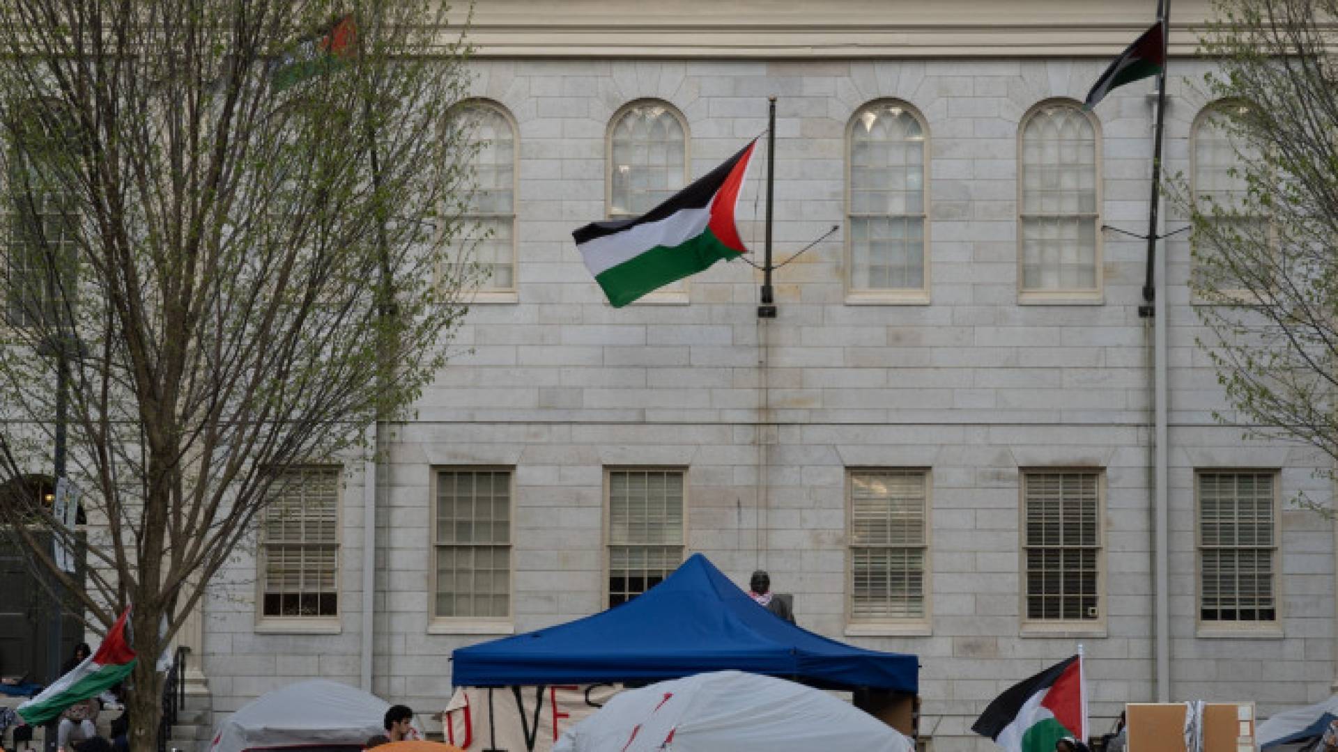 Roya News | Harvard Yard protesters raise Palestinian flag, face ...