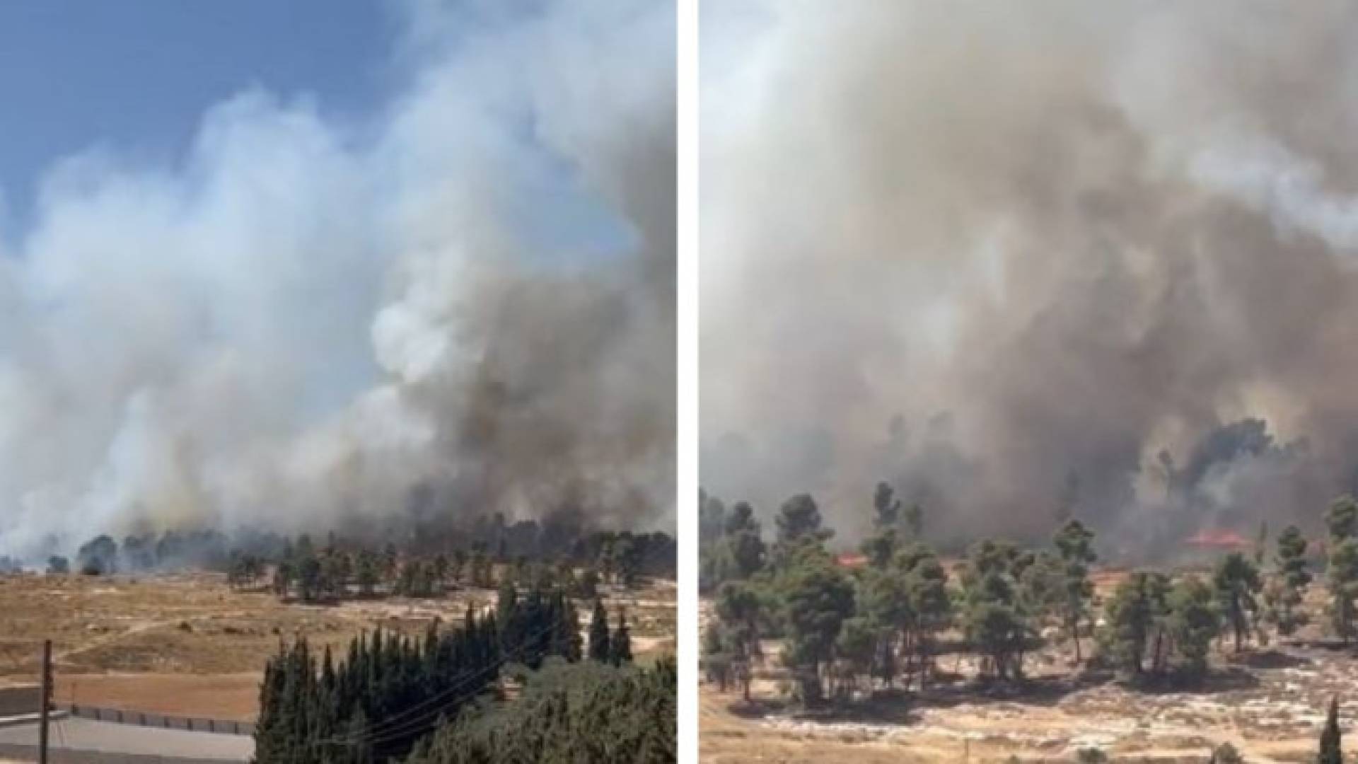 Roya News | Massive fire engulfs Amman National Park