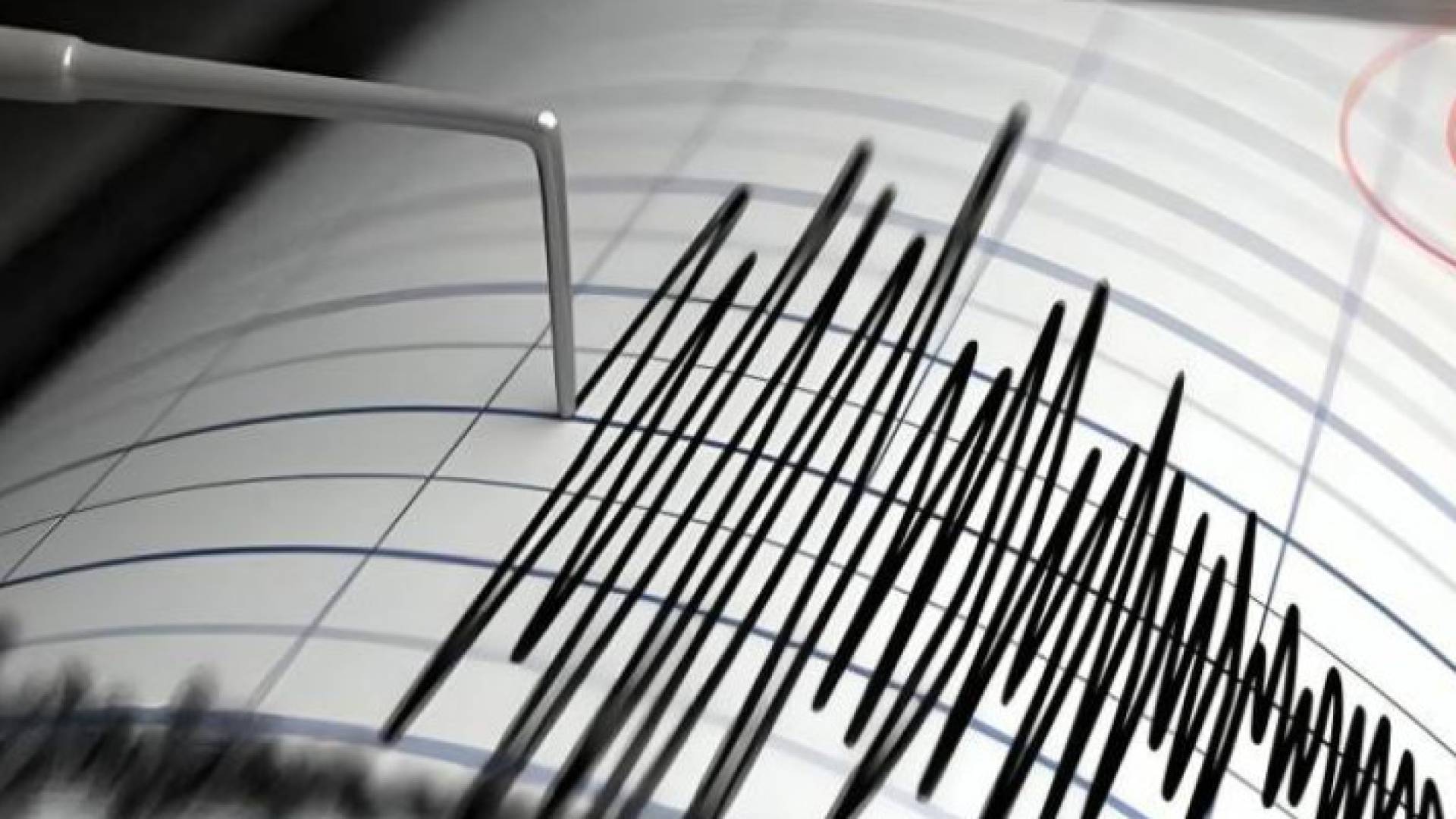 Roya News | Jordanian Seismic Observatory records 419 seismic ...