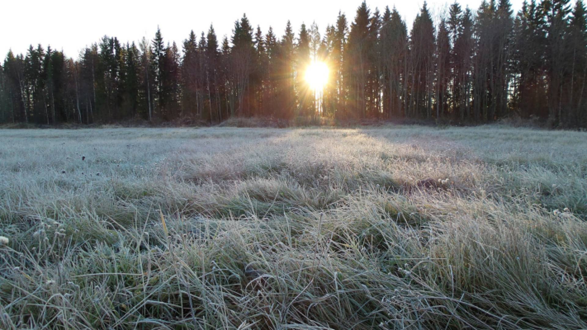رؤيا الإخباري | أجواء شديدة البرودة وفرص تشكل الصقيع بعدة مناطق بالأردن ...
